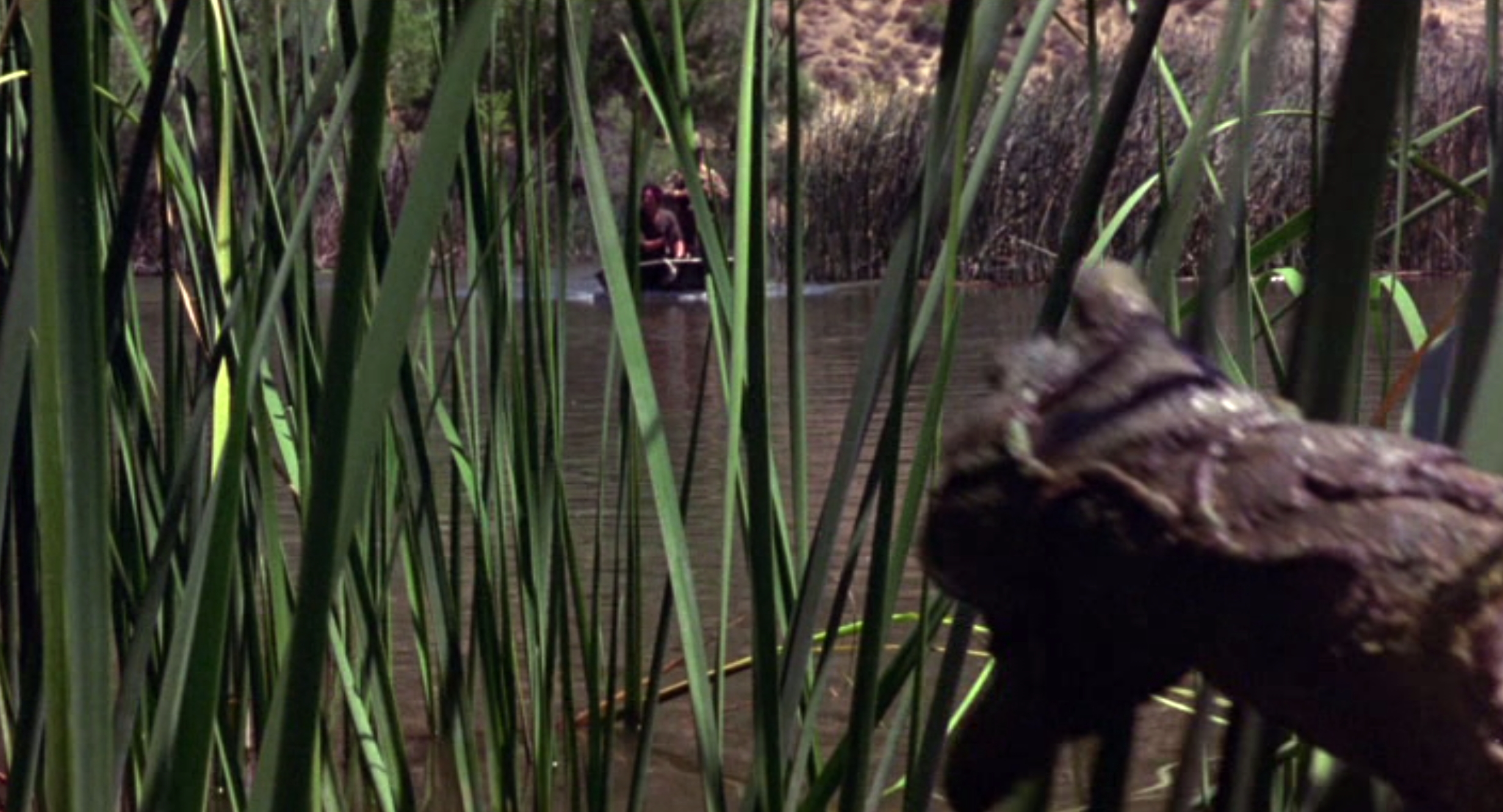 Swamp Thing 3.27: The Boat Fight | Superheroes Every Day